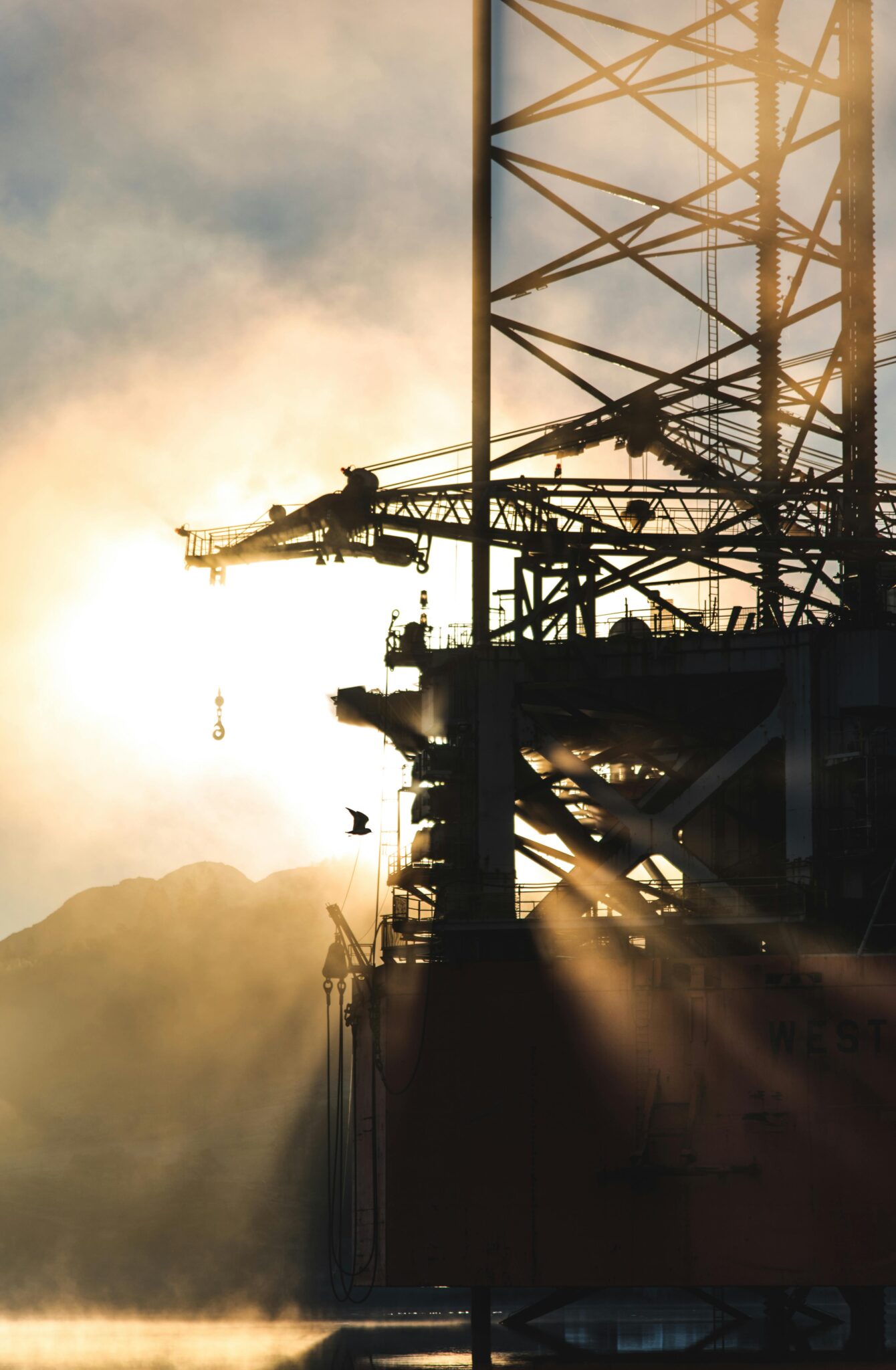 Our Team - Devcor Group | Energy Services & UAE Market Representation